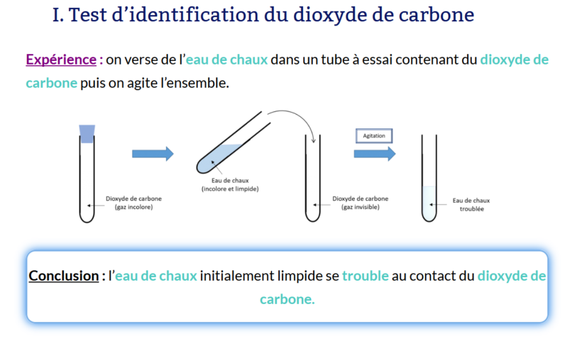 4° > Accompagnement personnalisé 2 : Les tests d’identification de ...