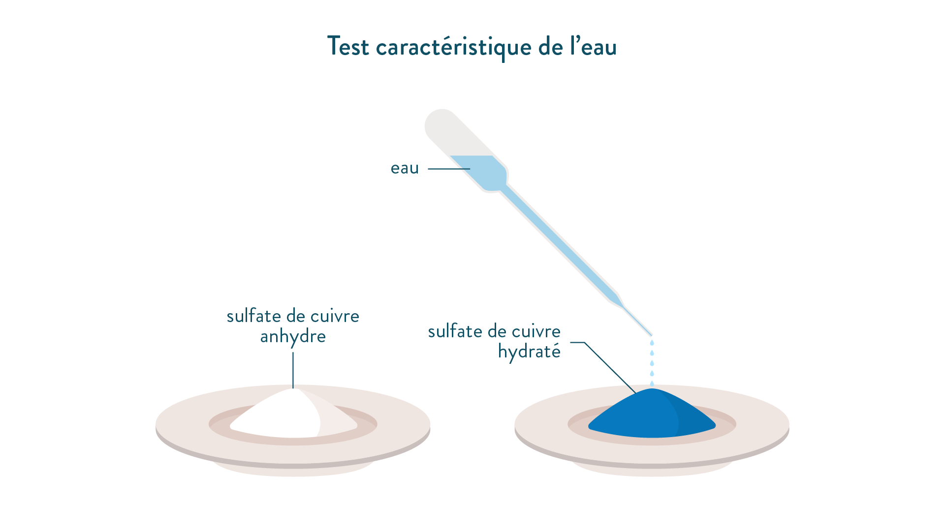 4° > Accompagnement personnalisé 1 : Les tests d’identification de ...