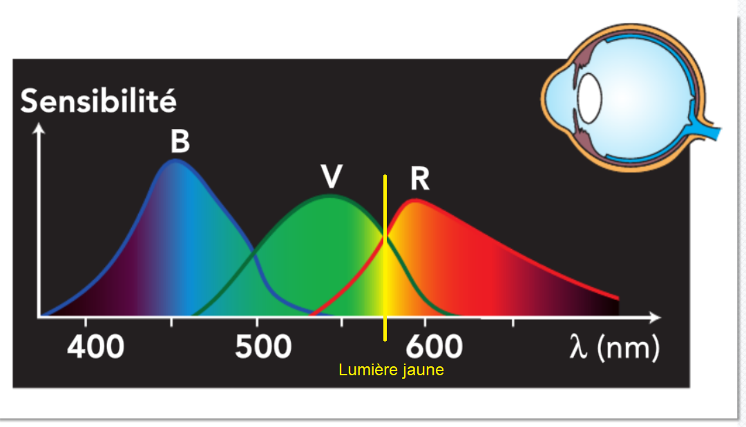 1ère Spé – Chapitre 19 : Couleurs – Tube à Essai, site de ressources ...